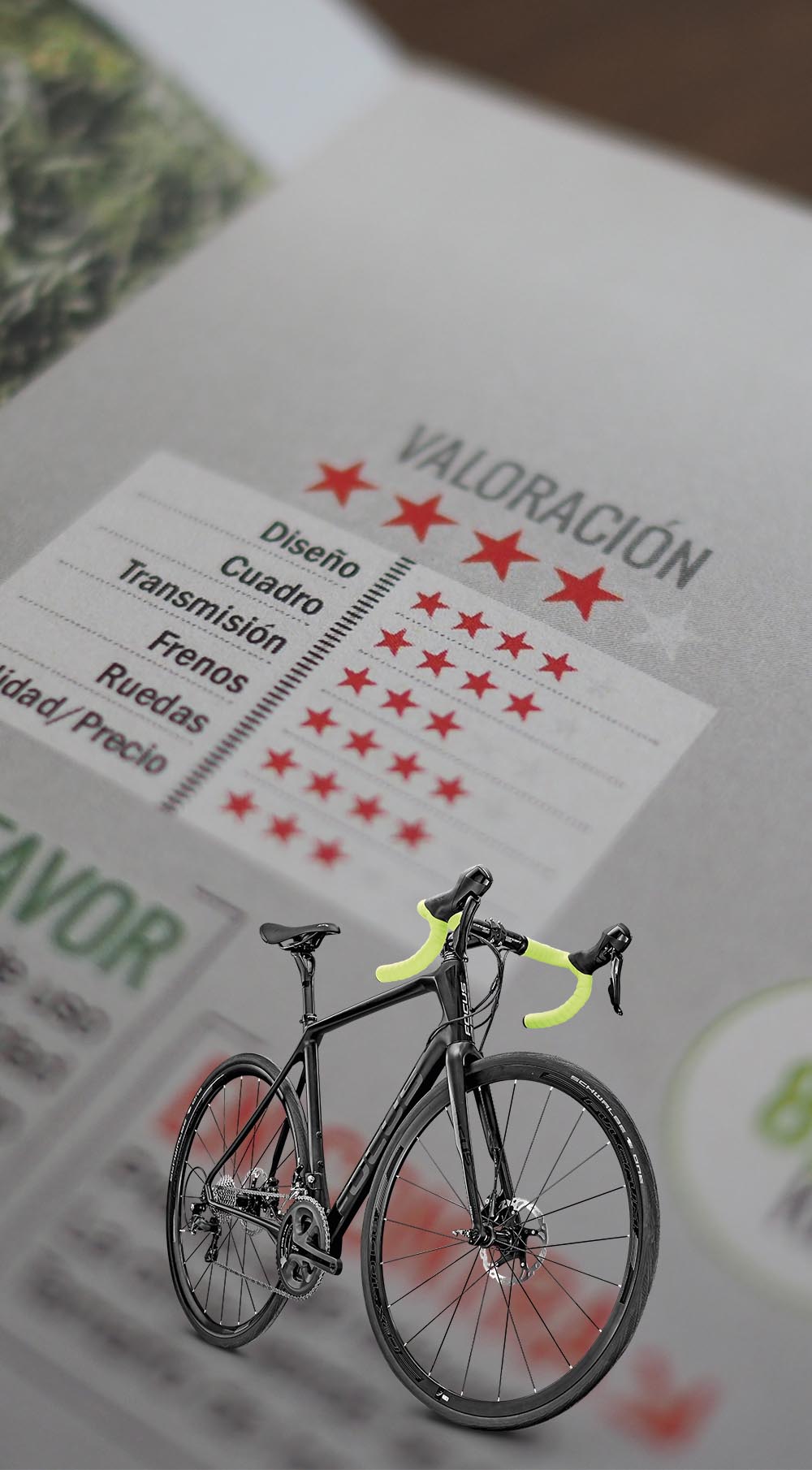 FOCUS Bikes - German Engineered | FOCUS Bikes